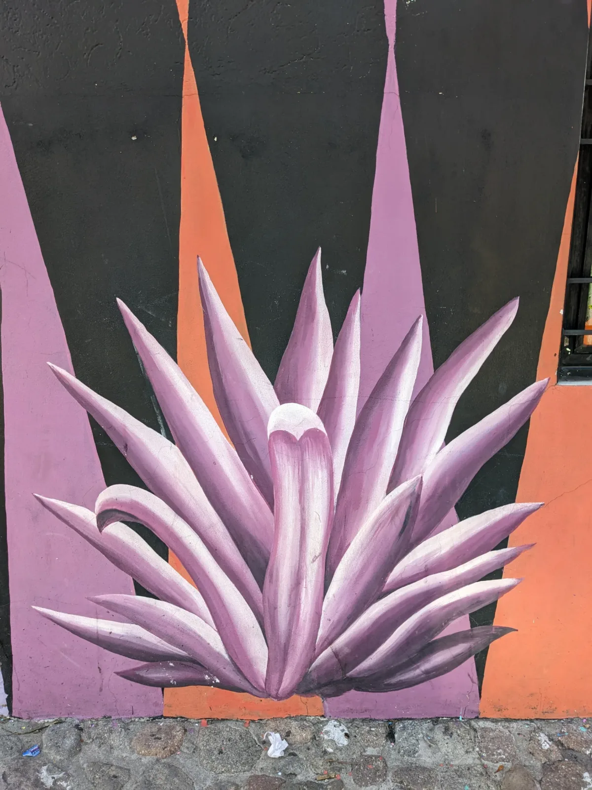 Pink tequila - what is it, who makes it, how to drink it ...